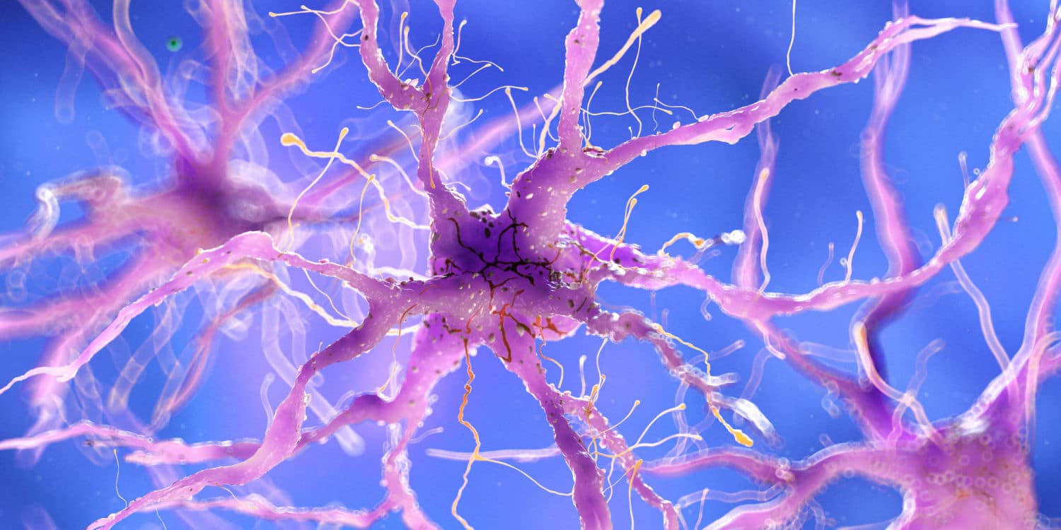 Nerve Damage: Causes & Compensation | Grabb & Durando
